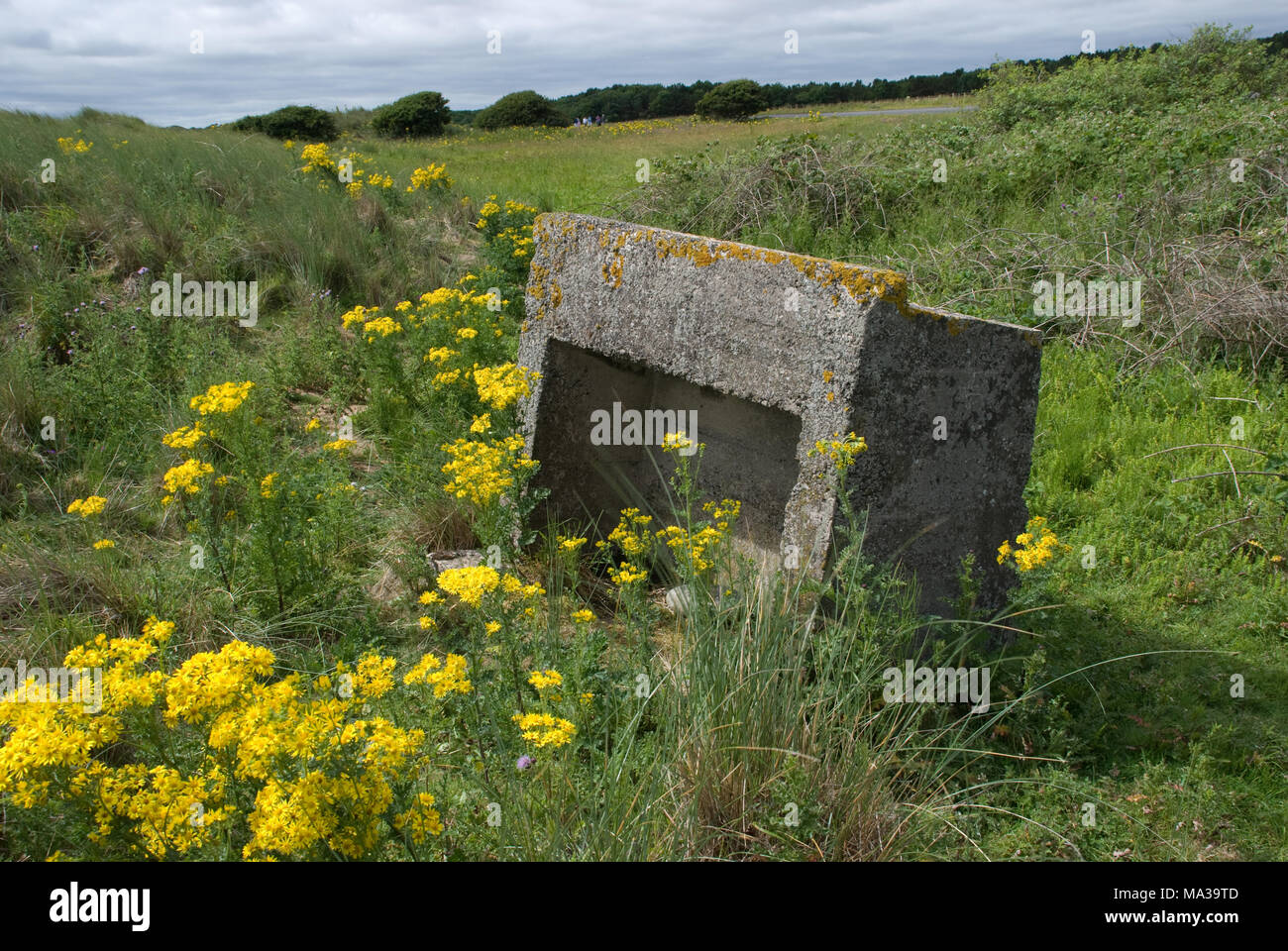 World War Two concrete structure on the Northumberland coast Stock ...