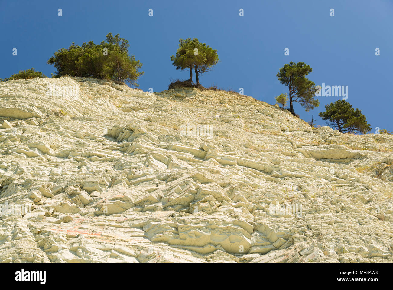 Tree growing on edge cliff hi-res stock photography and images - Alamy