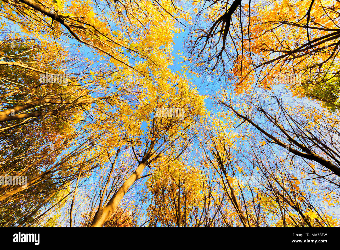 Buglio in monte hi-res stock photography and images - Alamy
