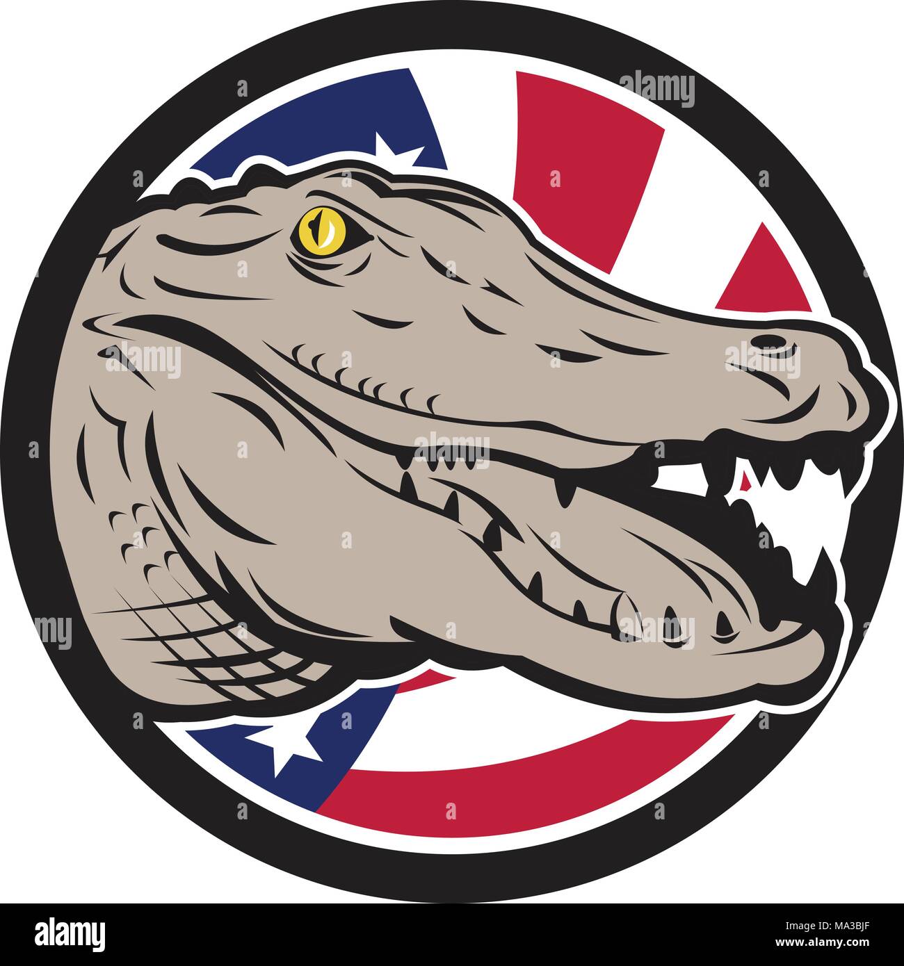 Alligator flag Stock Vector Images - Alamy