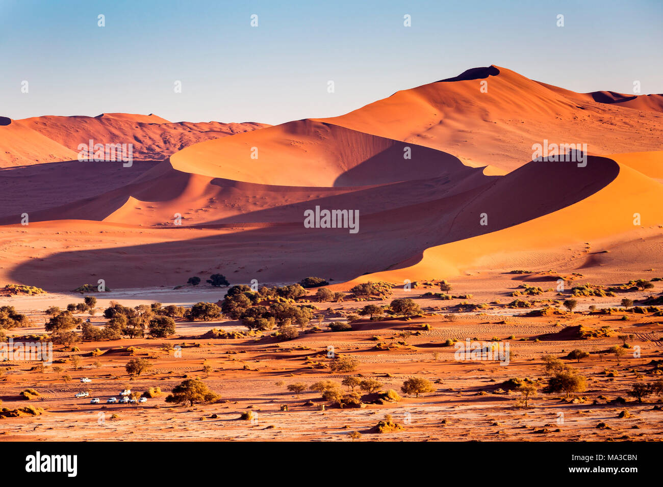 Sossusvlei, Namib desert, sand dunes during the golden hour. Namibia ...