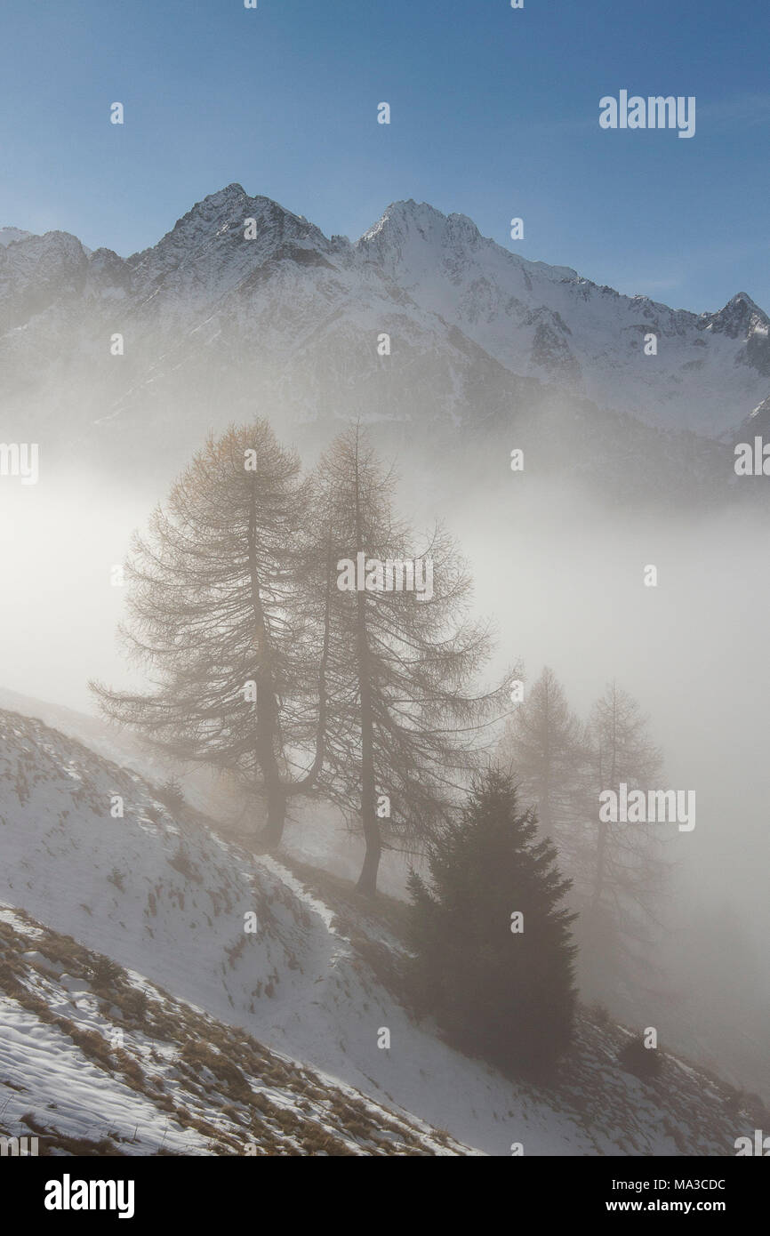 Castellaccio mountain hi-res stock photography and images - Alamy