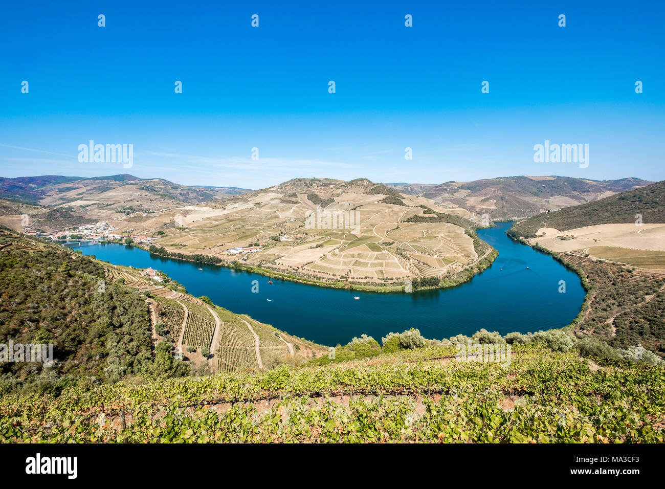 Vineyards alto douro world heritage hi-res stock photography and images ...