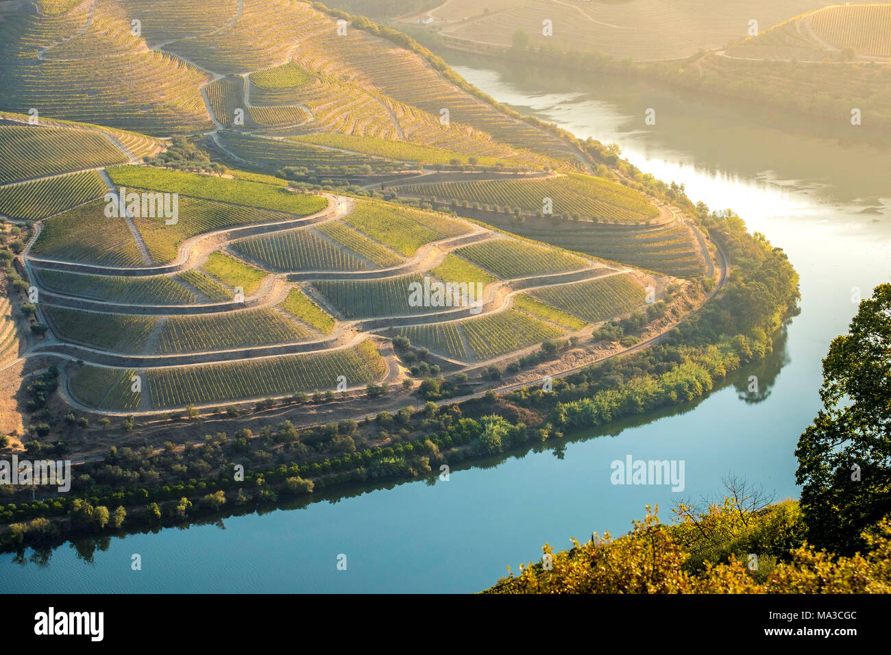 Douro valley hi-res stock photography and images - Alamy