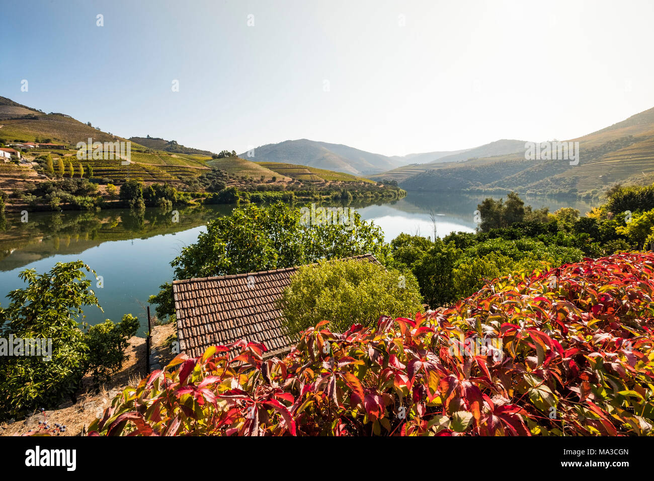 Vineyards alto douro world heritage hi-res stock photography and images ...