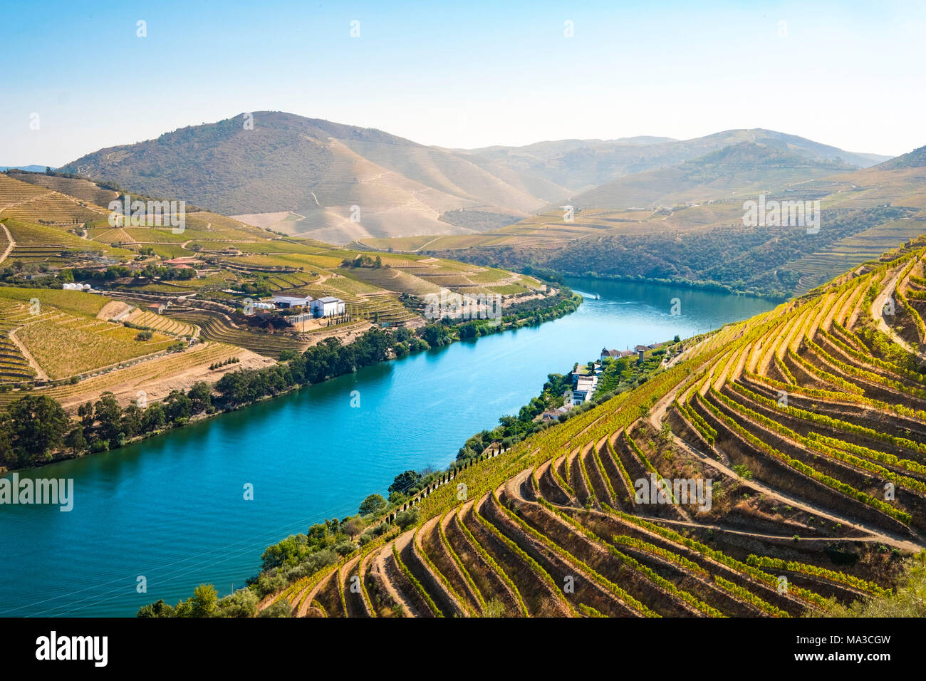 Portugal valley vineyard alto douro hi-res stock photography and images ...