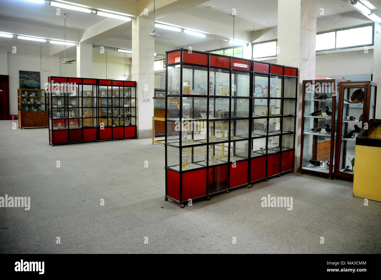 National museum of science & technology Stock Photo - Alamy