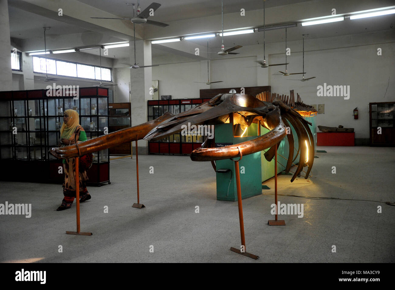 National museum of science & technology Stock Photo - Alamy