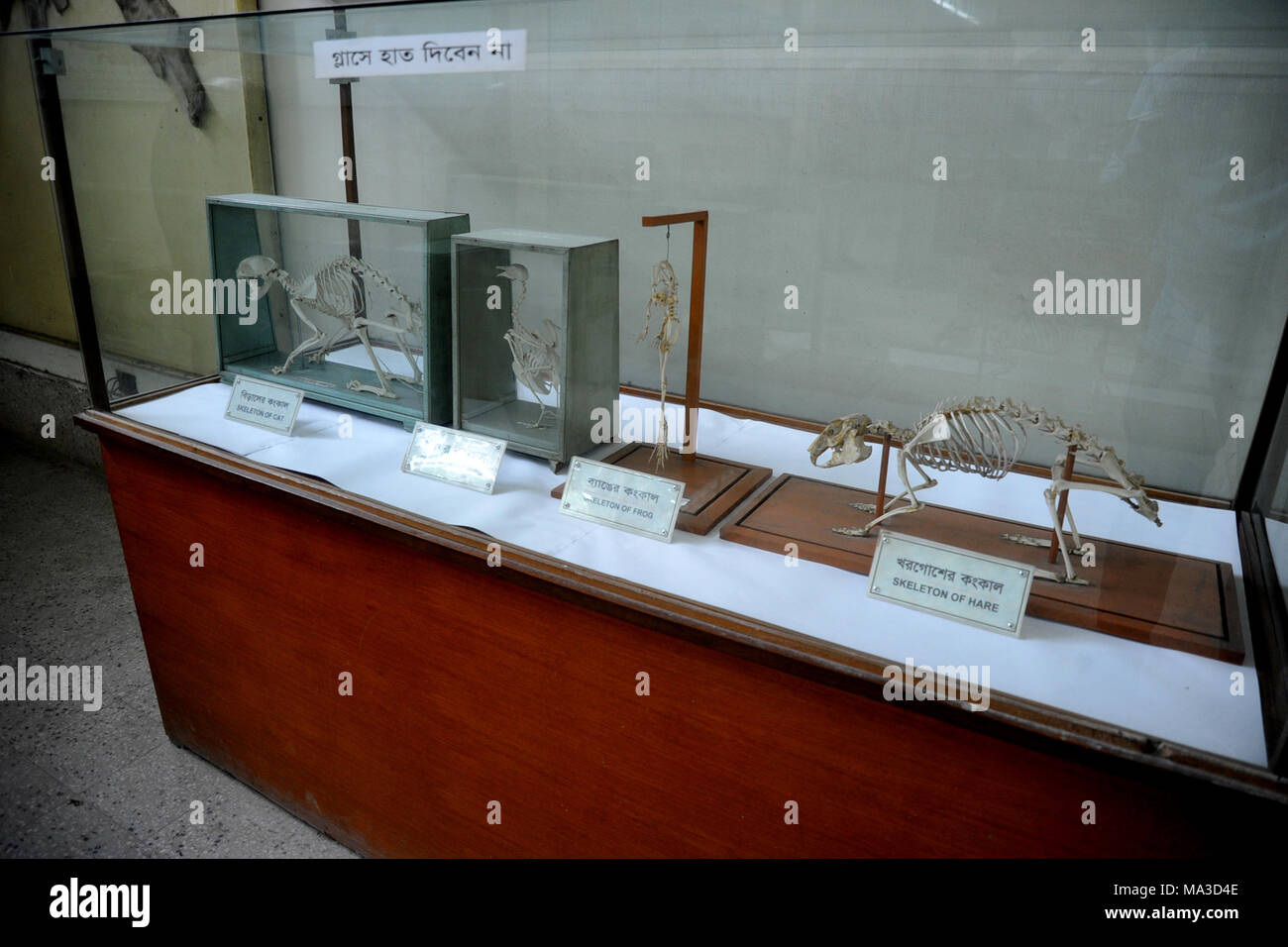 National museum of science & technology Stock Photo - Alamy