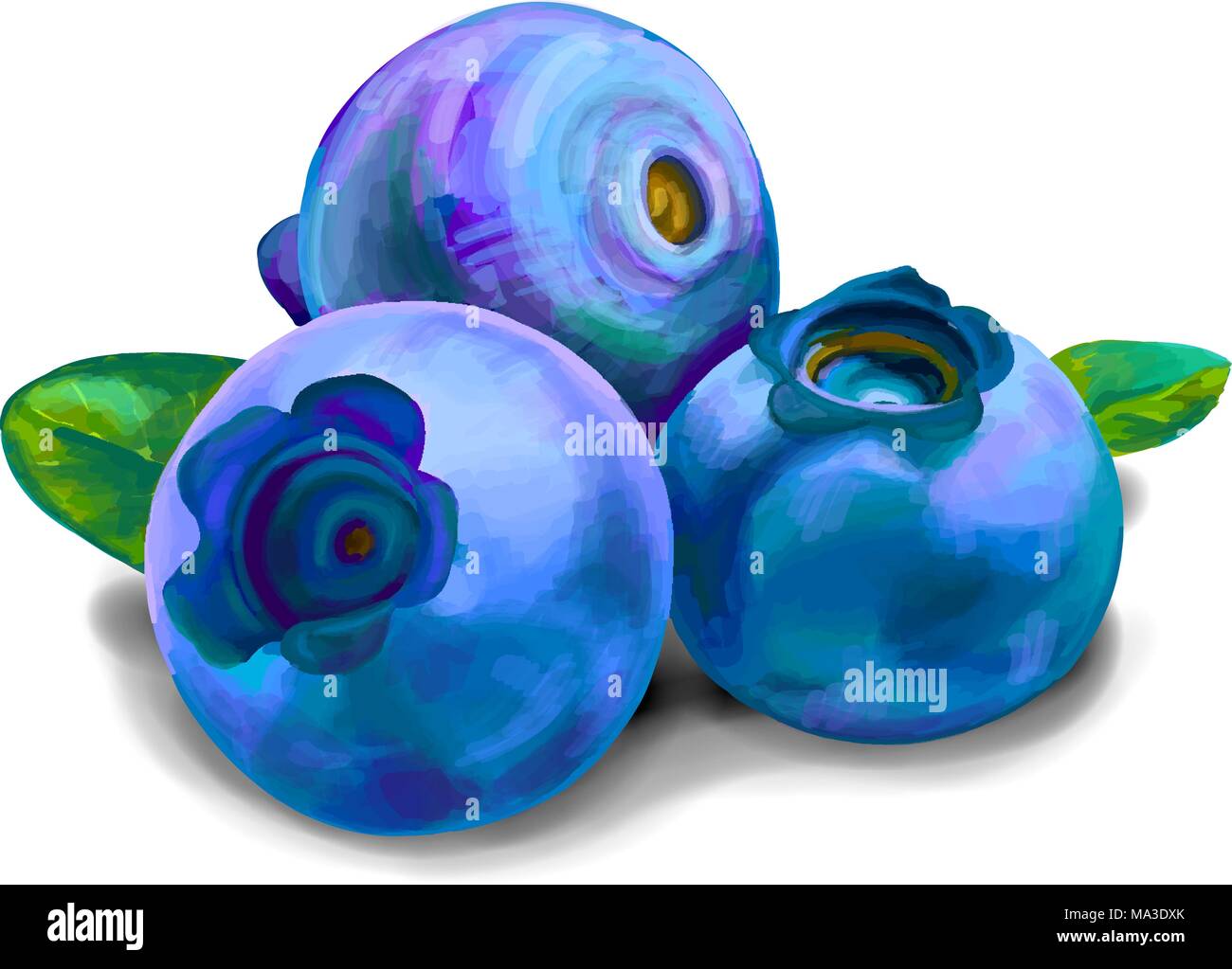 Blueberry berry background macro Stock Vector Images - Alamy