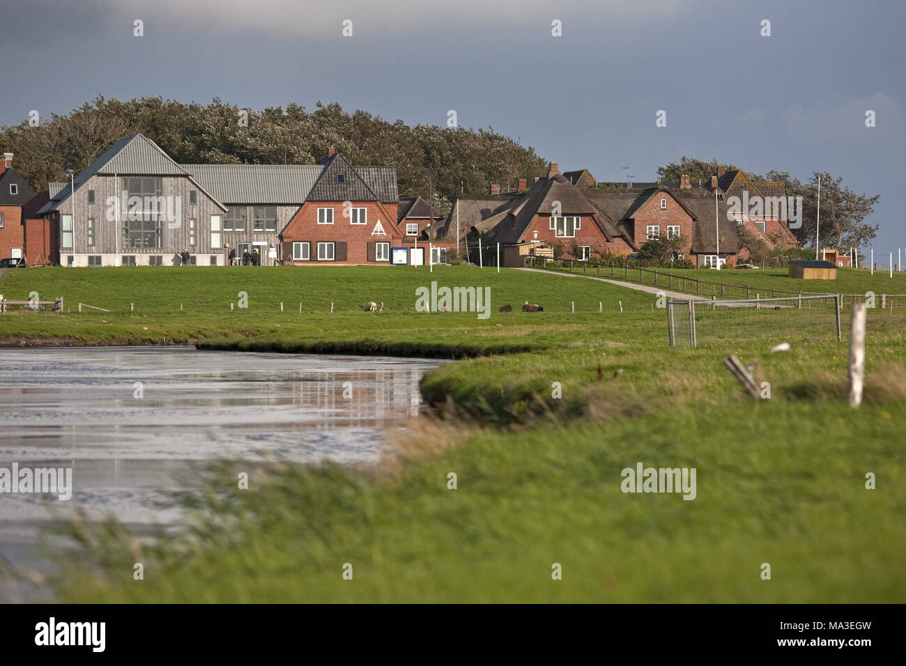 Hanswarft on hallig hooge hi-res stock photography and images - Alamy