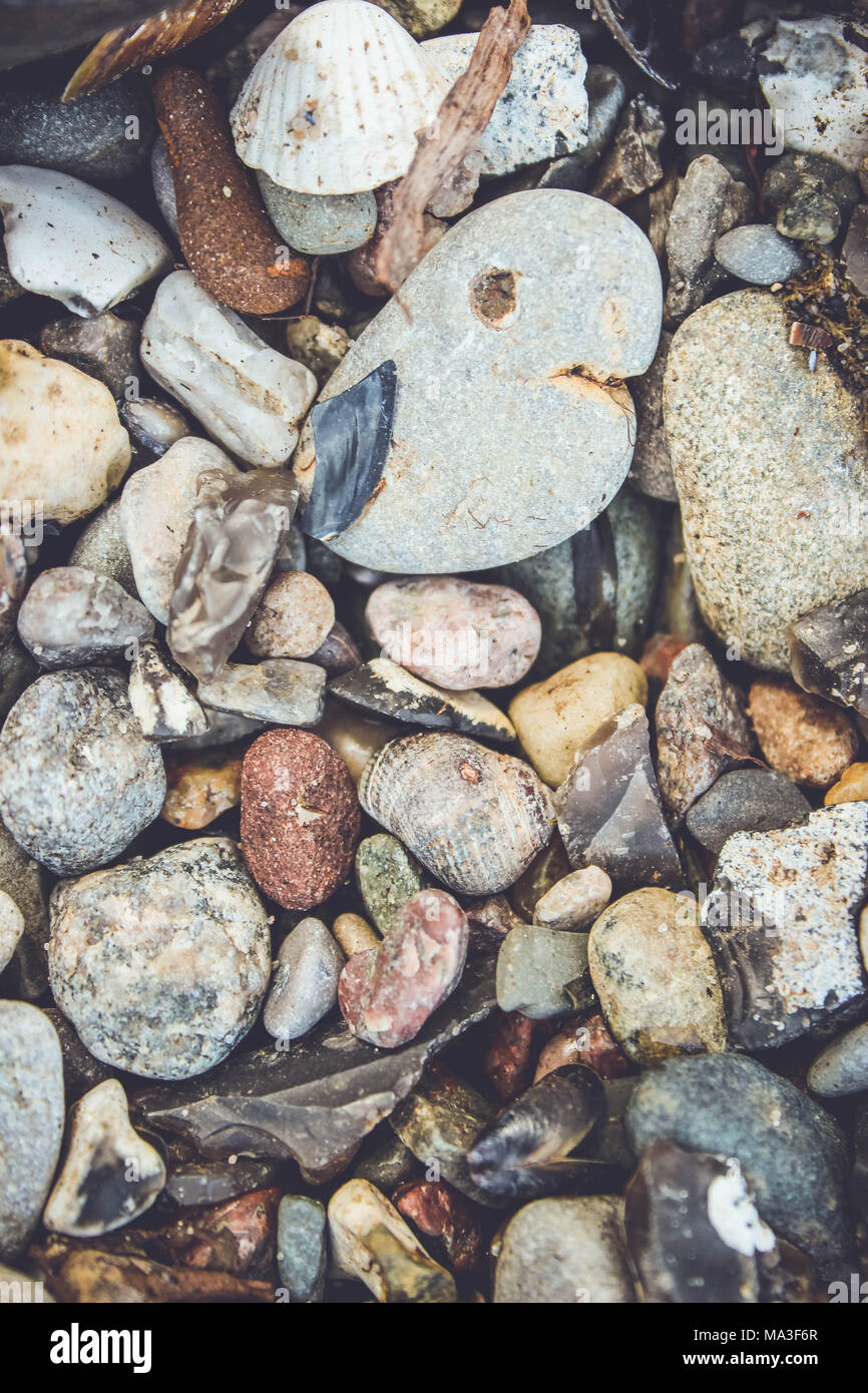 Beach, stones and mussels, fish-shaped stone with face, funny Stock ...