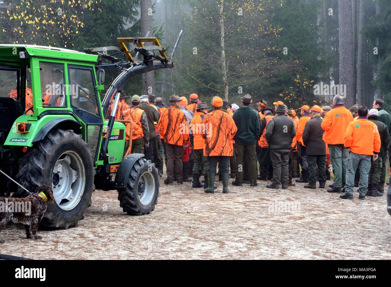 Group of men hunting red deer in the forest hi-res stock photography ...