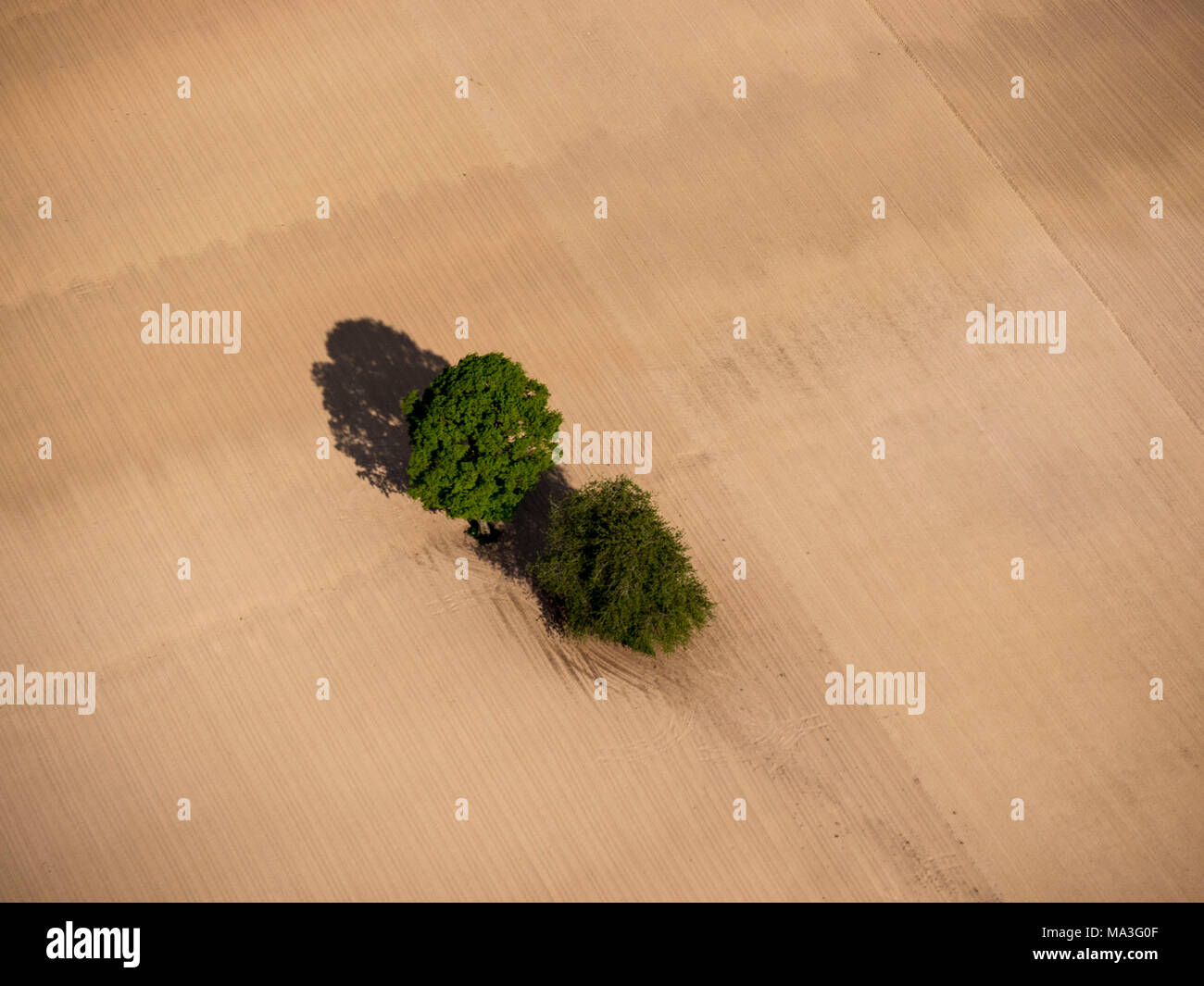 Aerial photo tree in hi-res stock photography and images - Alamy