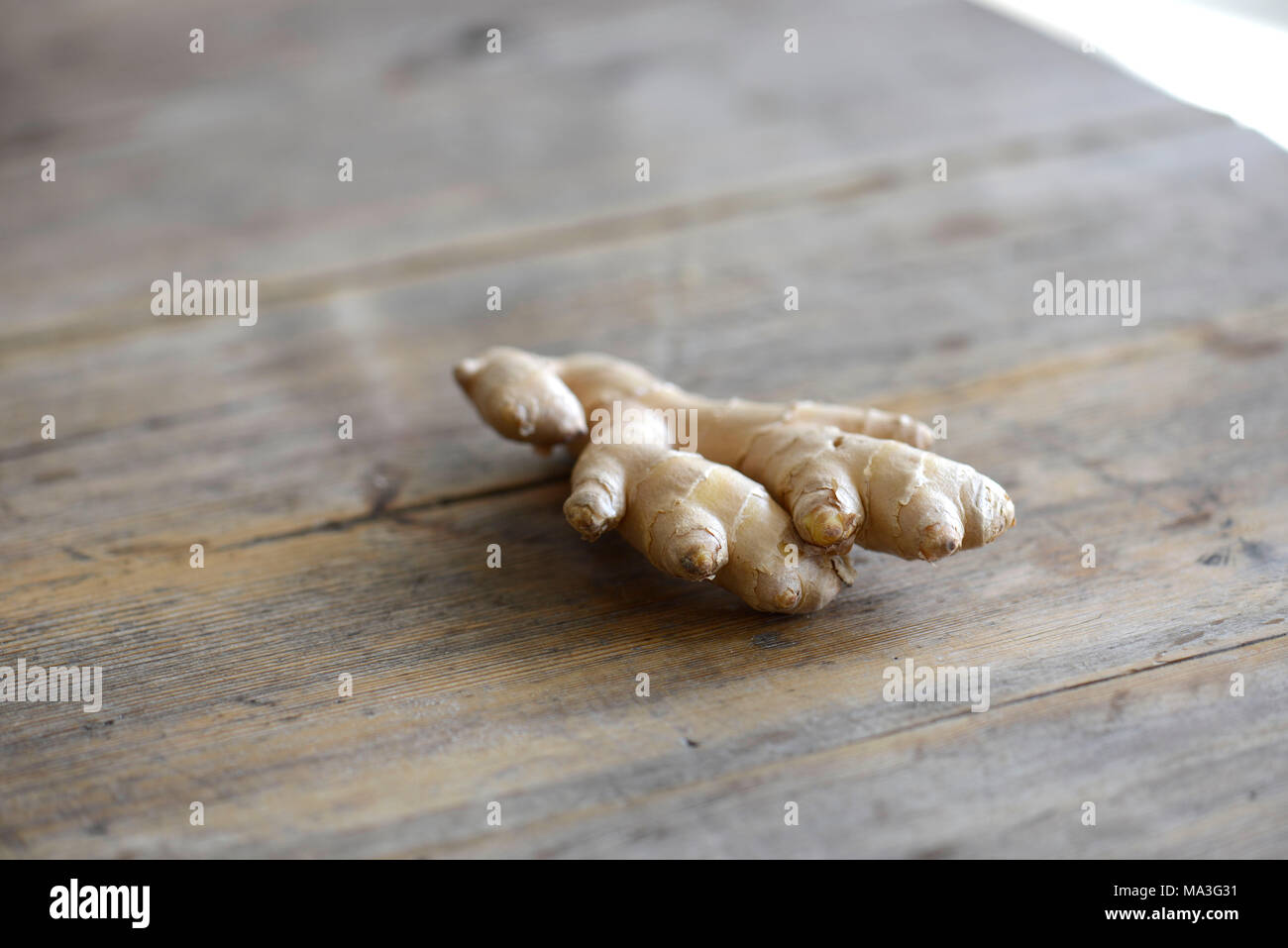 Ginger gingers hi-res stock photography and images - Alamy