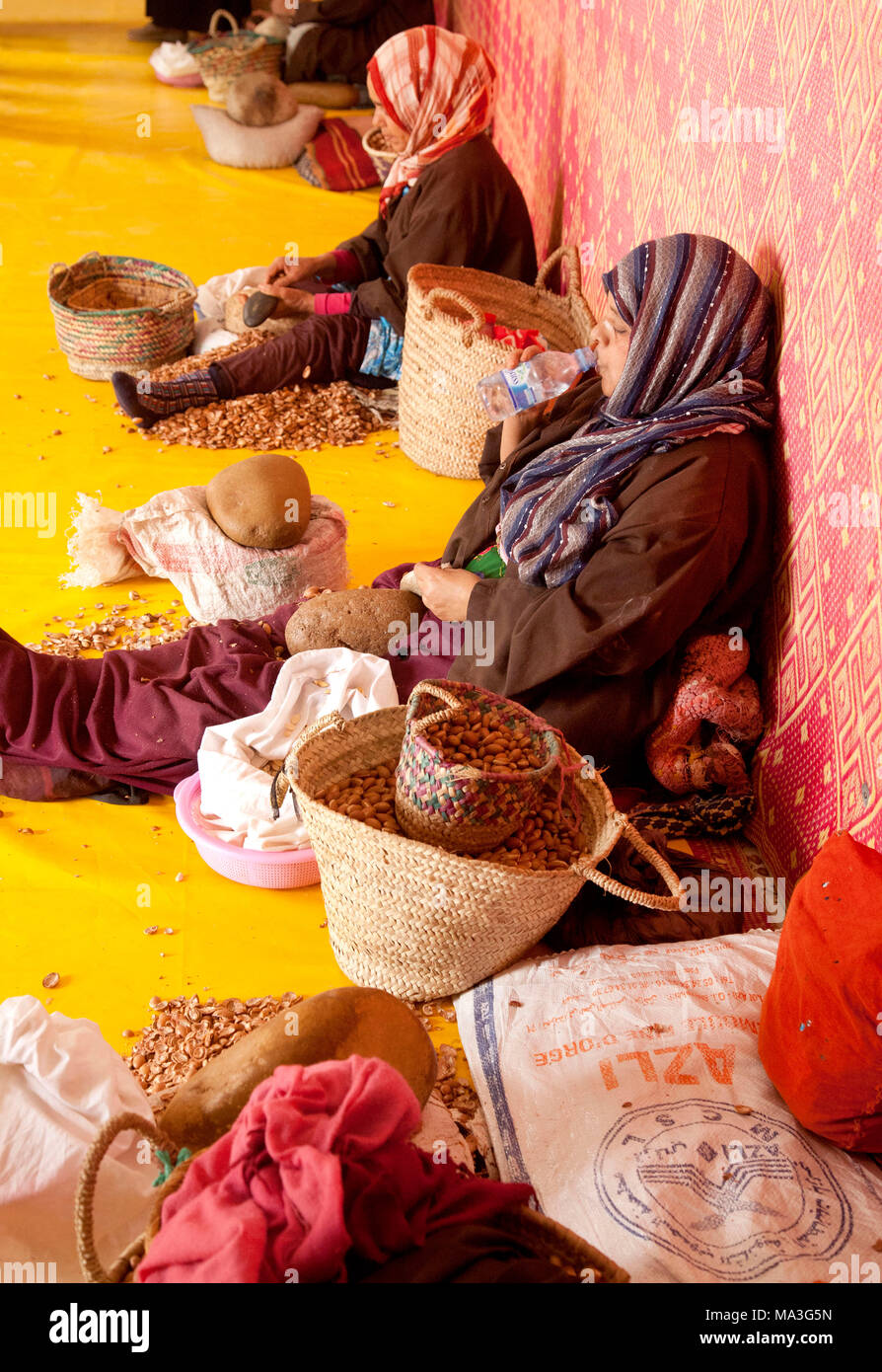 Women, argan nuts, production of argan oil, work, Morocco Stock Photo ...