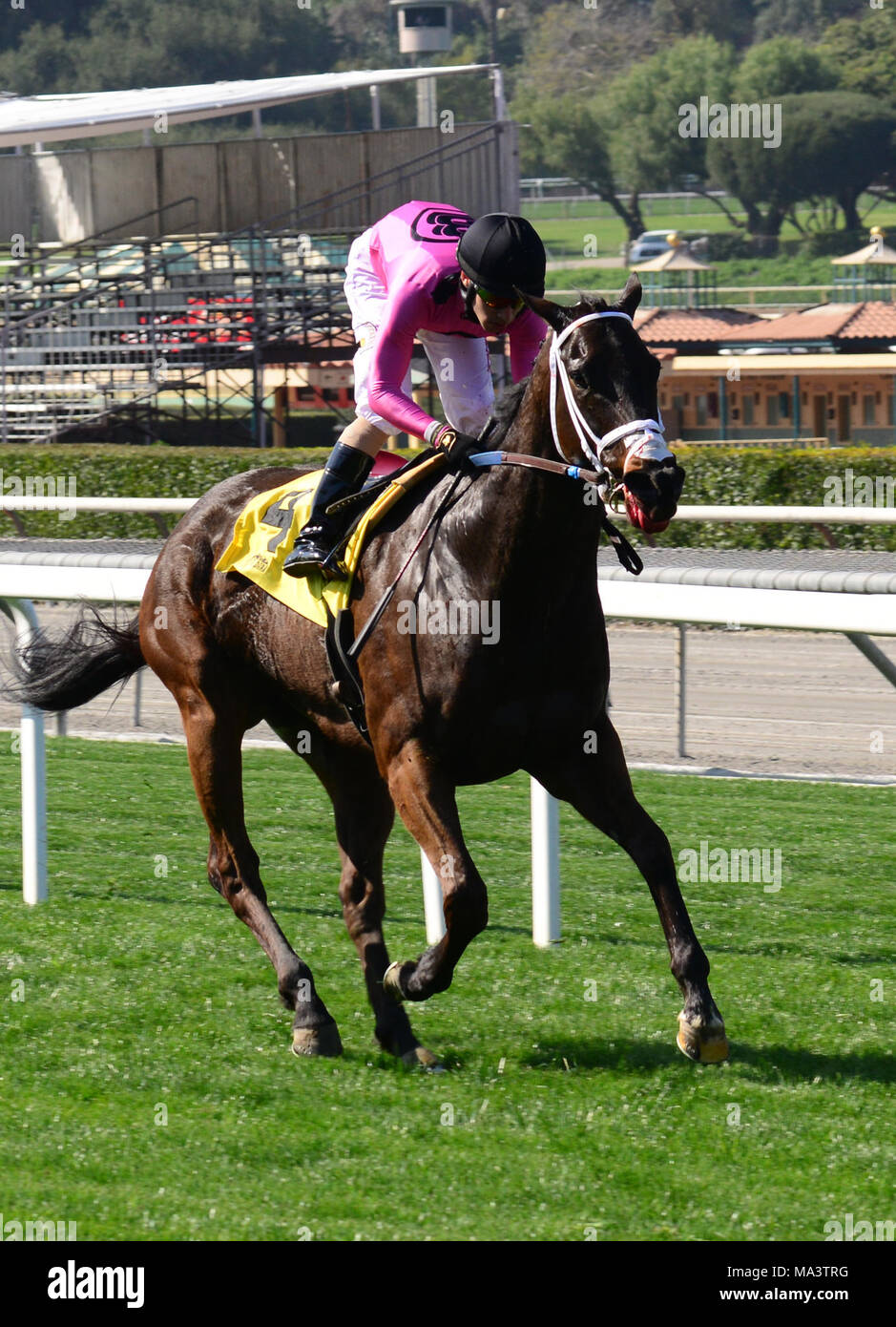 Fabozzi hi-res stock photography and images - Alamy