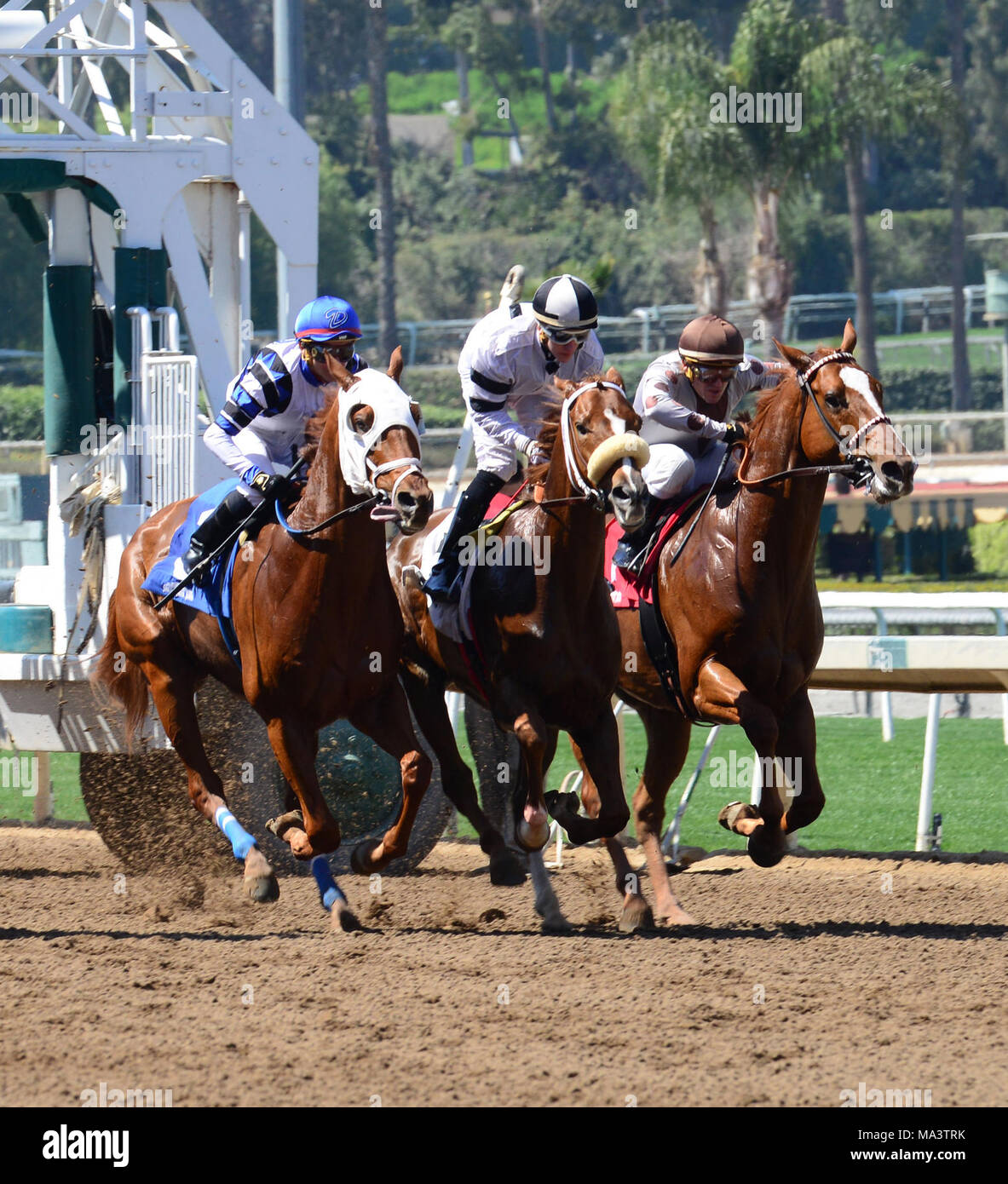 Cr racing hi-res stock photography and images - Alamy