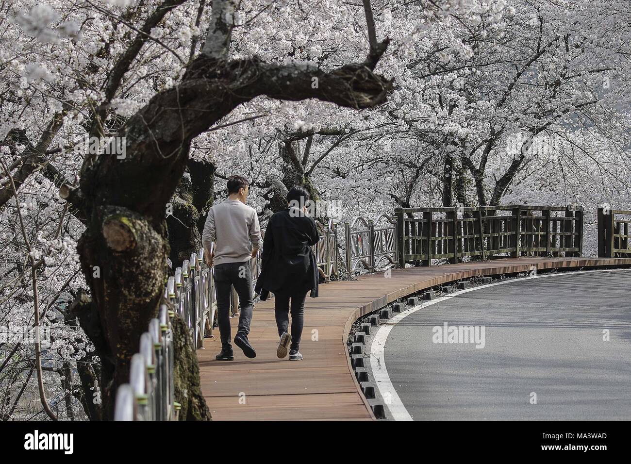 Hadong gun hi-res stock photography and images - Alamy