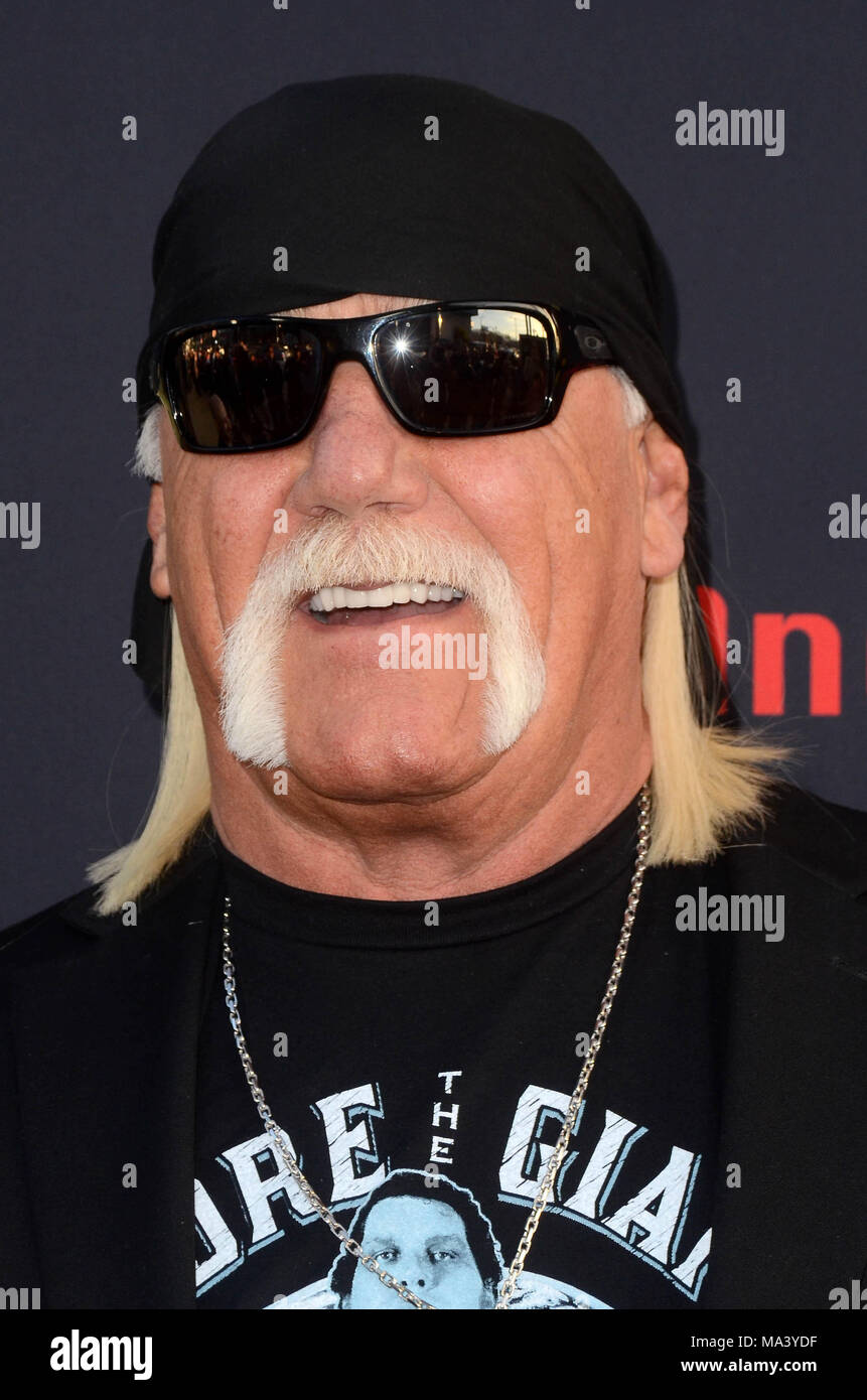 Elsa Hogan's Instagram, Twitter & Facebook on IDCrawl