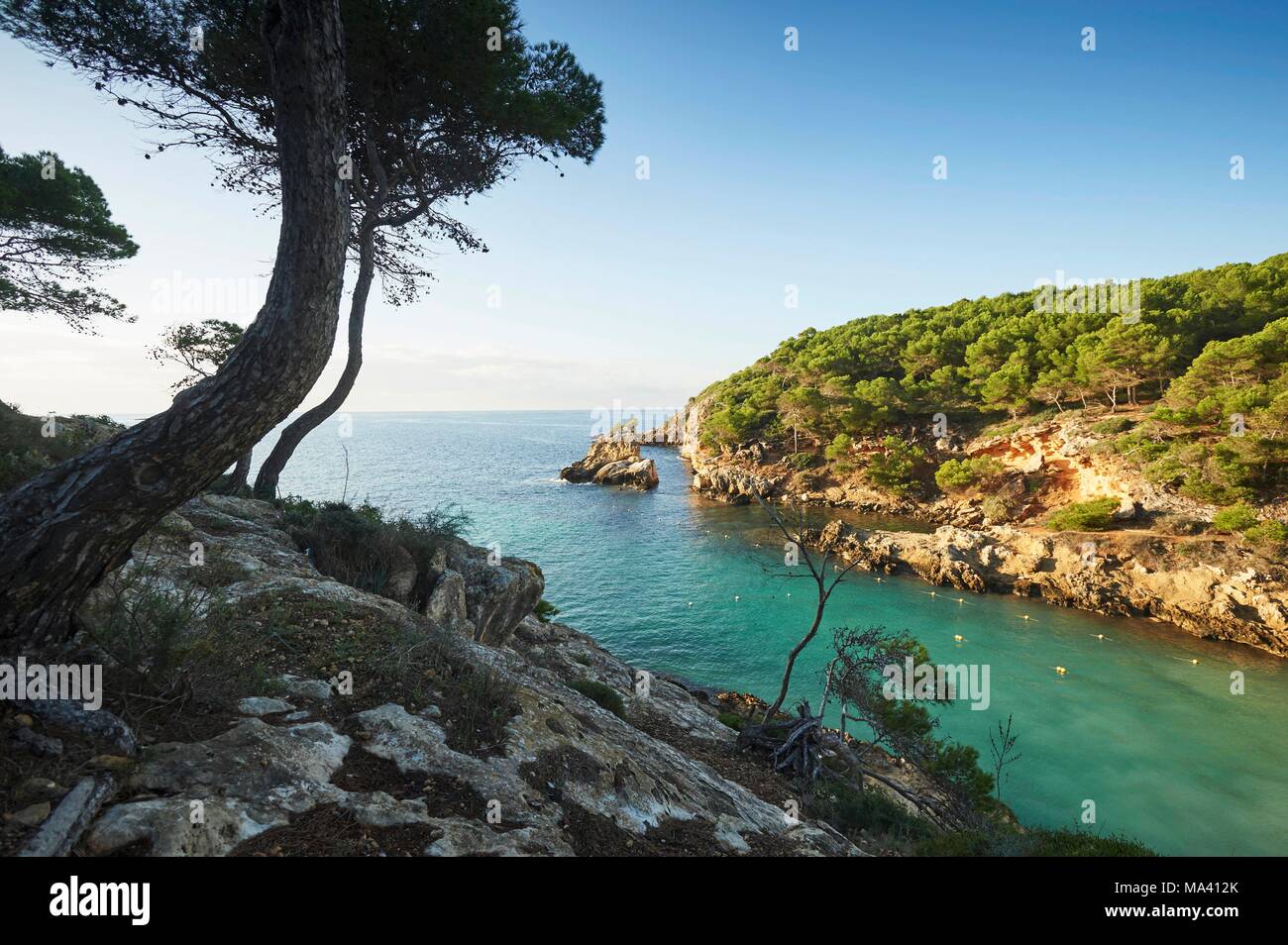 Cala falco hi-res stock photography and images - Alamy