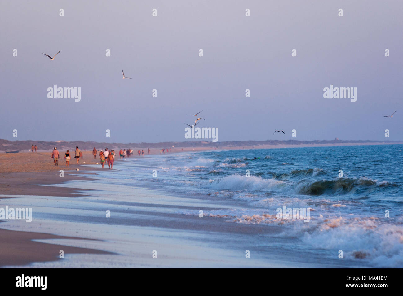 People walking during sunset in Matalascañas beach, Almonte, Huelva ...