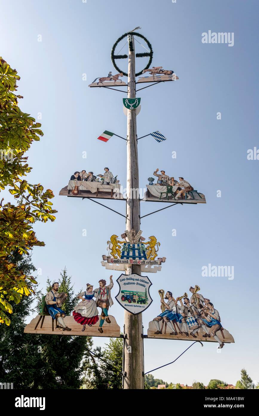 May tree hi-res stock photography and images - Alamy