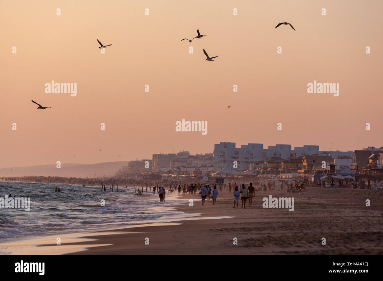 People walking during sunset in Matalascañas beach, Almonte, Huelva ...