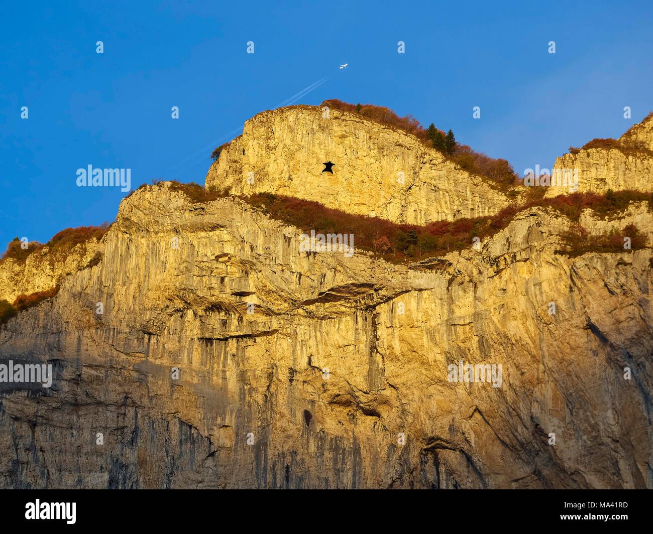 Base jumping: jumpers on Monte Brento in wingsuits on a cliff, Italy ...