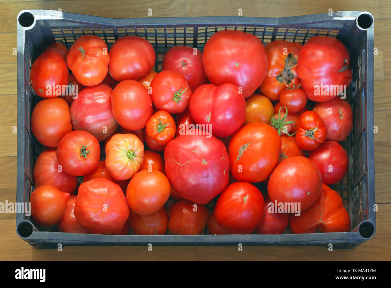 Various Sizes of Red Tomatoes in Crate Stock Photo - Alamy