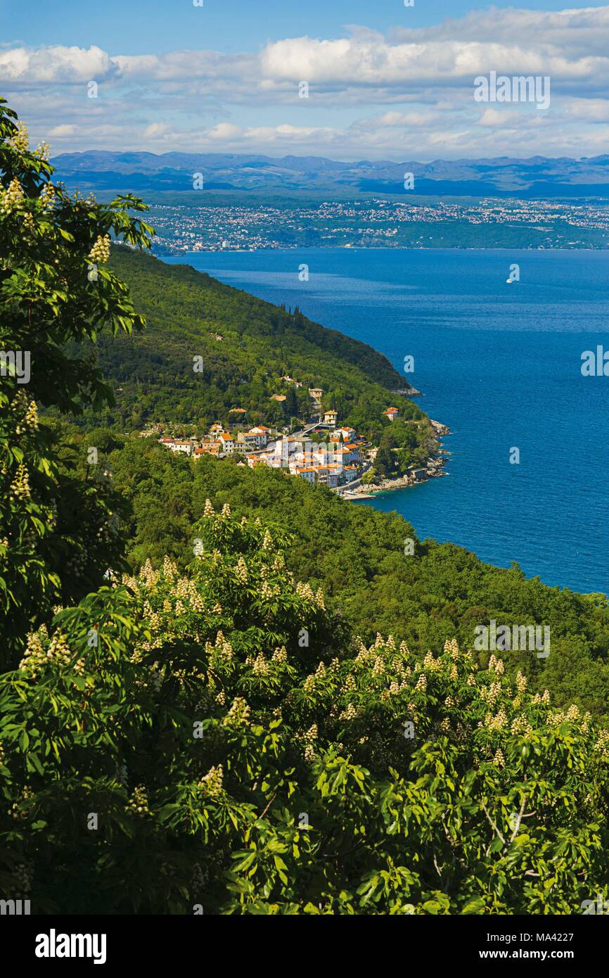 The Kvarner Gulf, Ucka National Park, Istrian, Croatia Stock Photo - Alamy