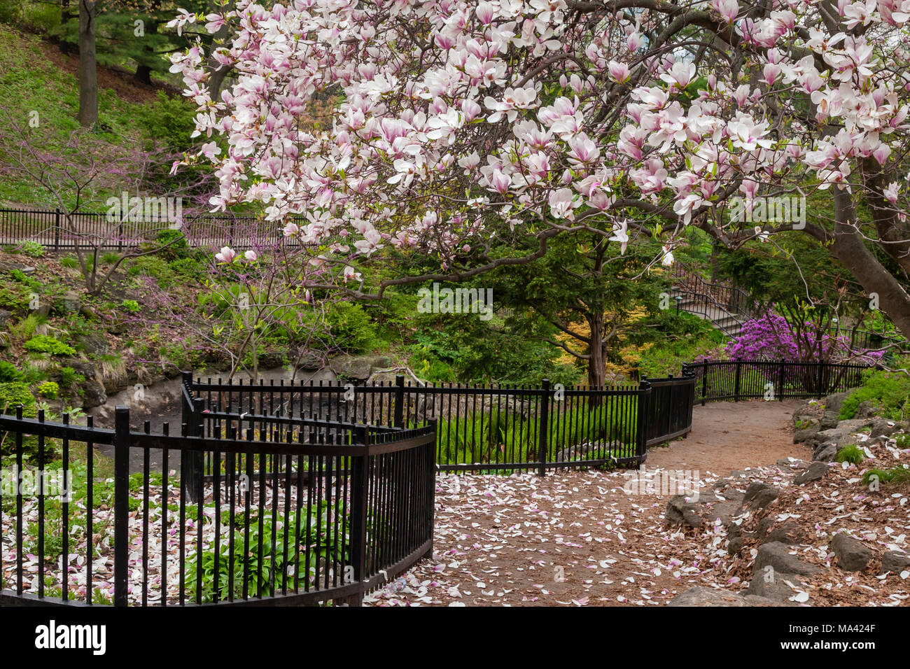High park hi-res stock photography and images - Alamy