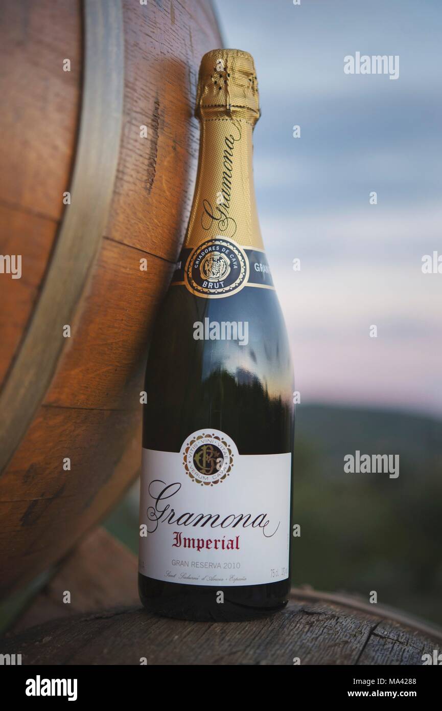Sekt bottle hi-res stock photography and images - Alamy