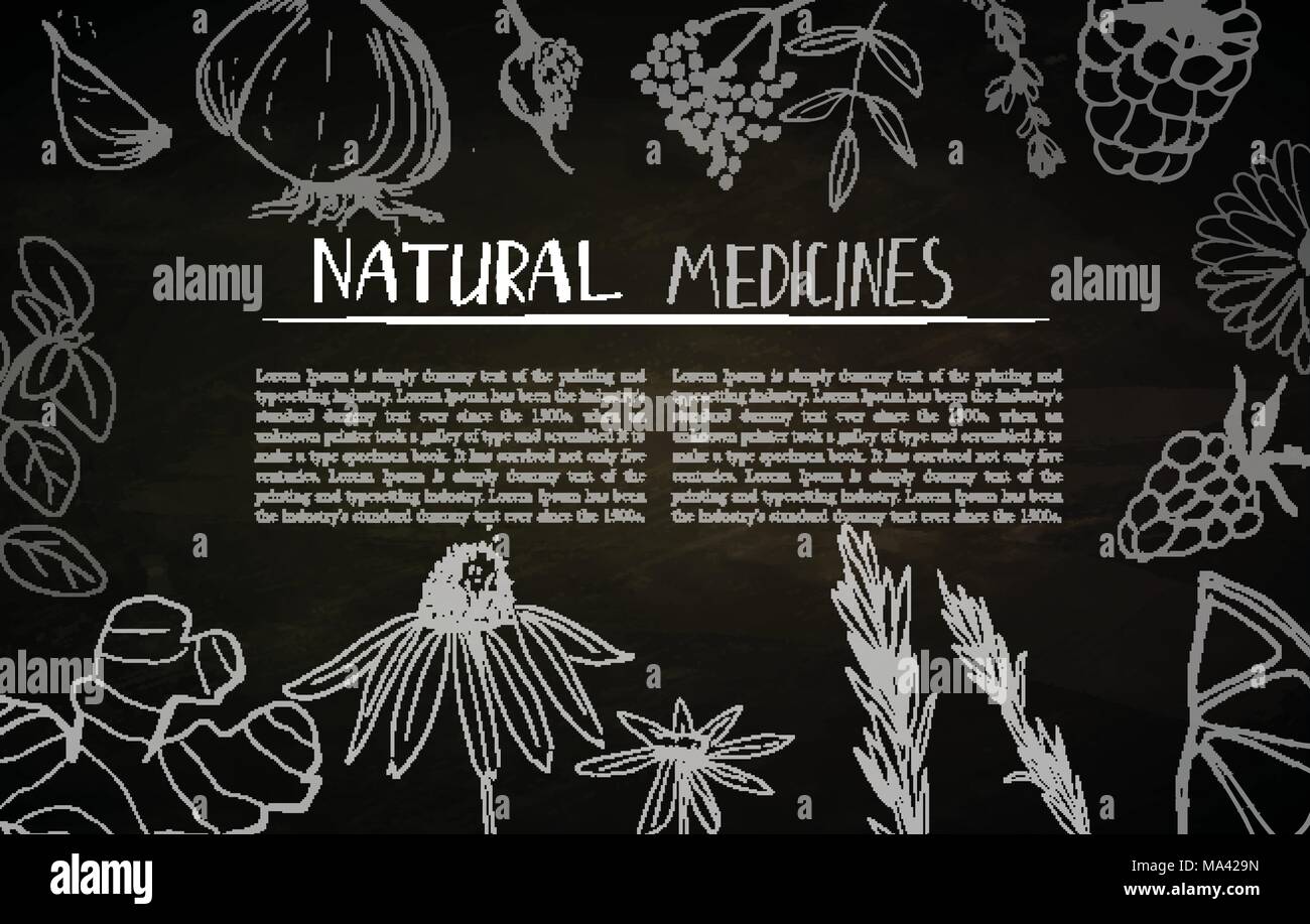 Herbs and medicinal plants collection. Vector hand drawn isolated ...