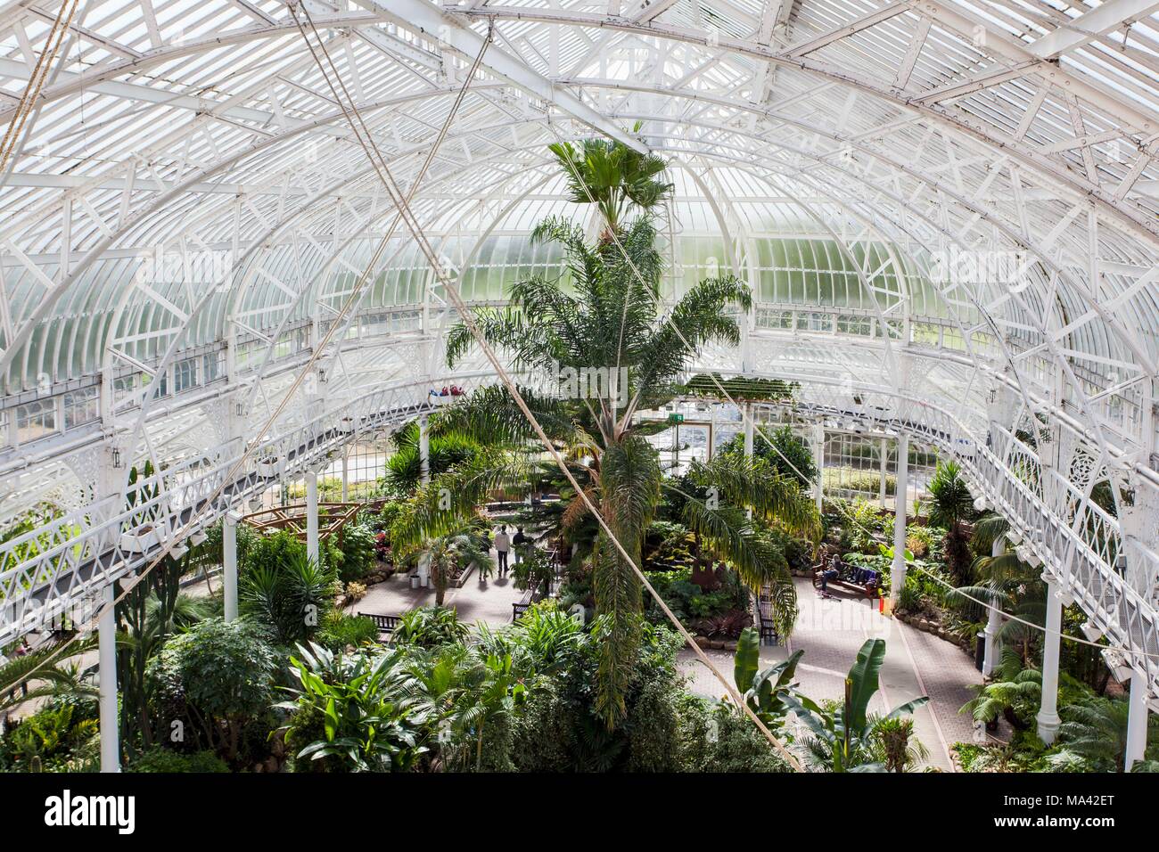 Inside great conservatory hi-res stock photography and images - Alamy