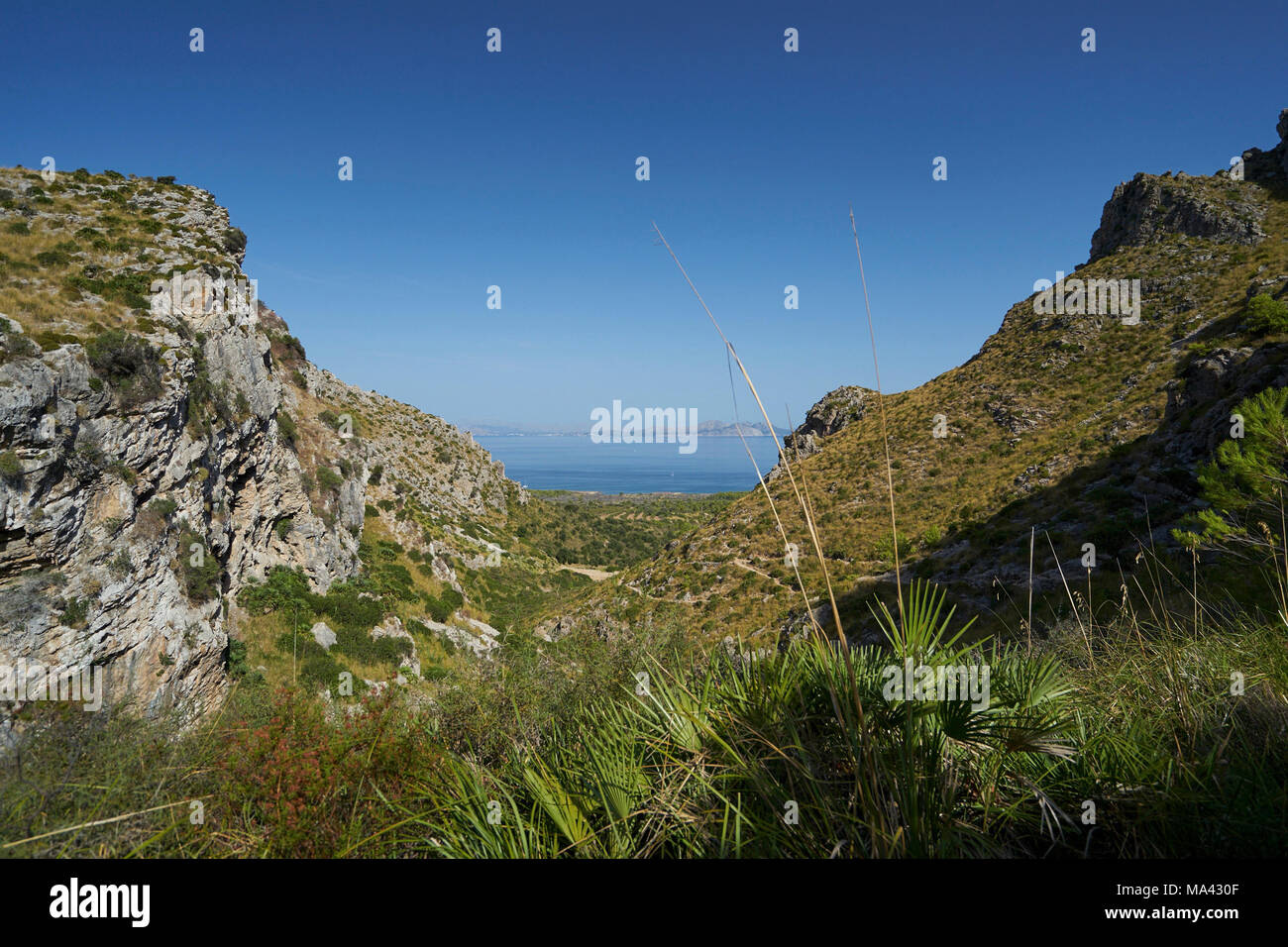 The landscape near Betlem in Mallorca, Spain Stock Photo - Alamy