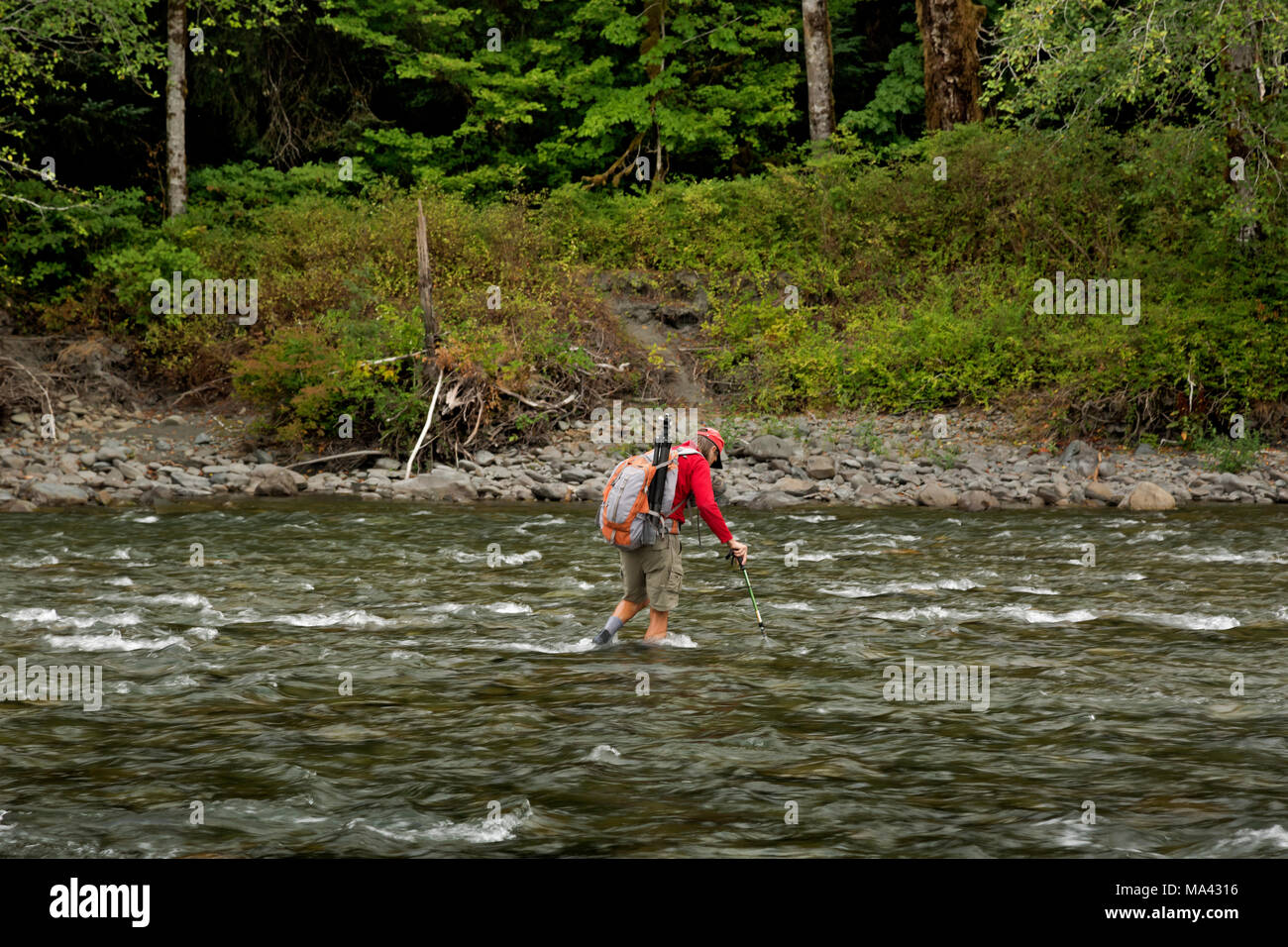 Olympic national park hiking hi-res stock photography and images - Alamy