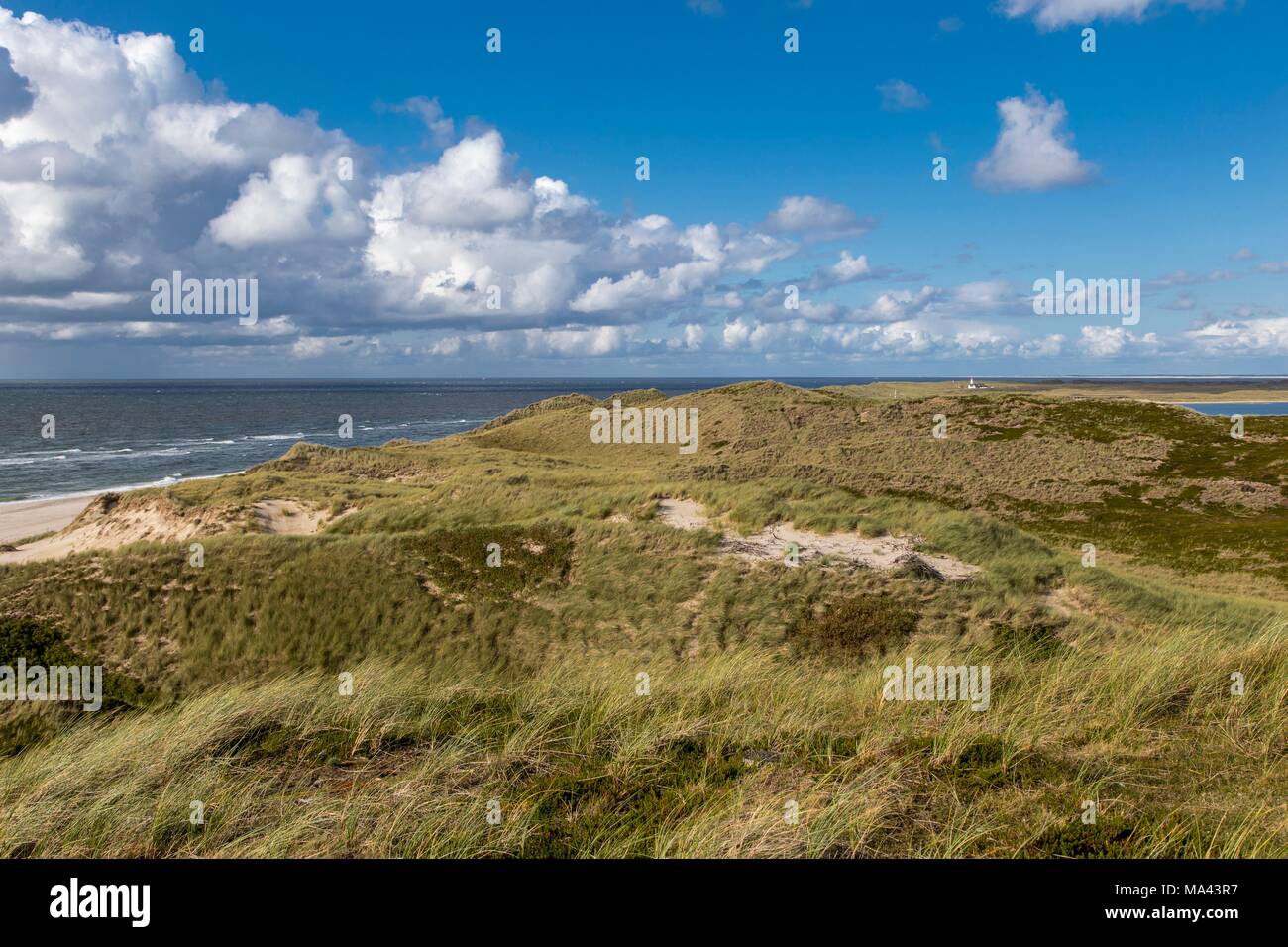 Dunes on the beach on the island of Sylt in Germany Stock Photo - Alamy