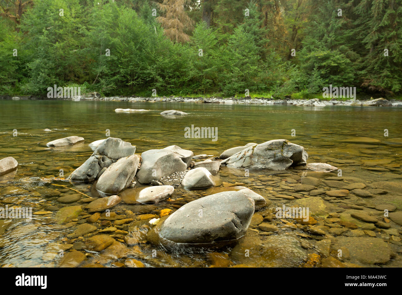 Forest visited hi-res stock photography and images - Alamy