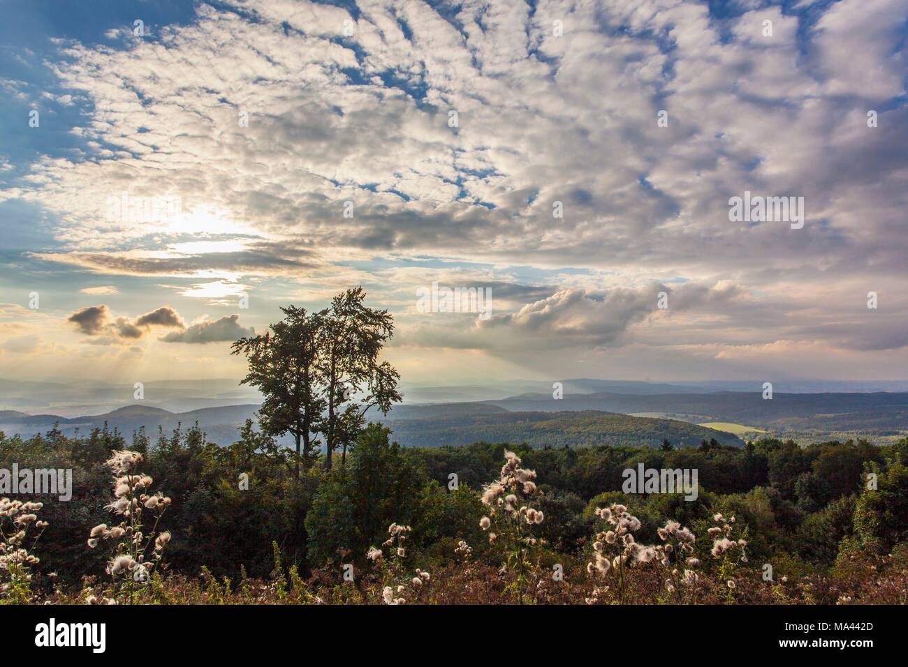 Rhon mountains hi-res stock photography and images - Alamy