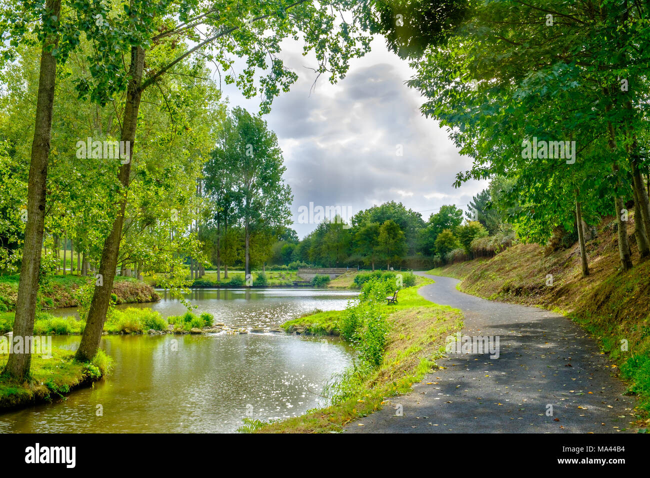 Pathway to pond hi-res stock photography and images - Alamy
