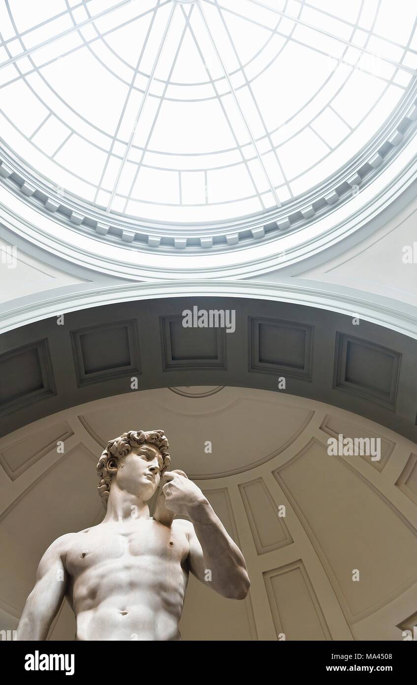 The David statue by Michelangelo at the Galeria dell' Accademia ...