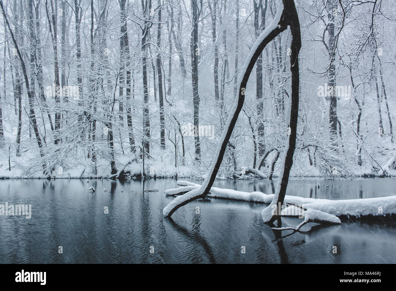 Heavy snow falling hi-res stock photography and images - Alamy