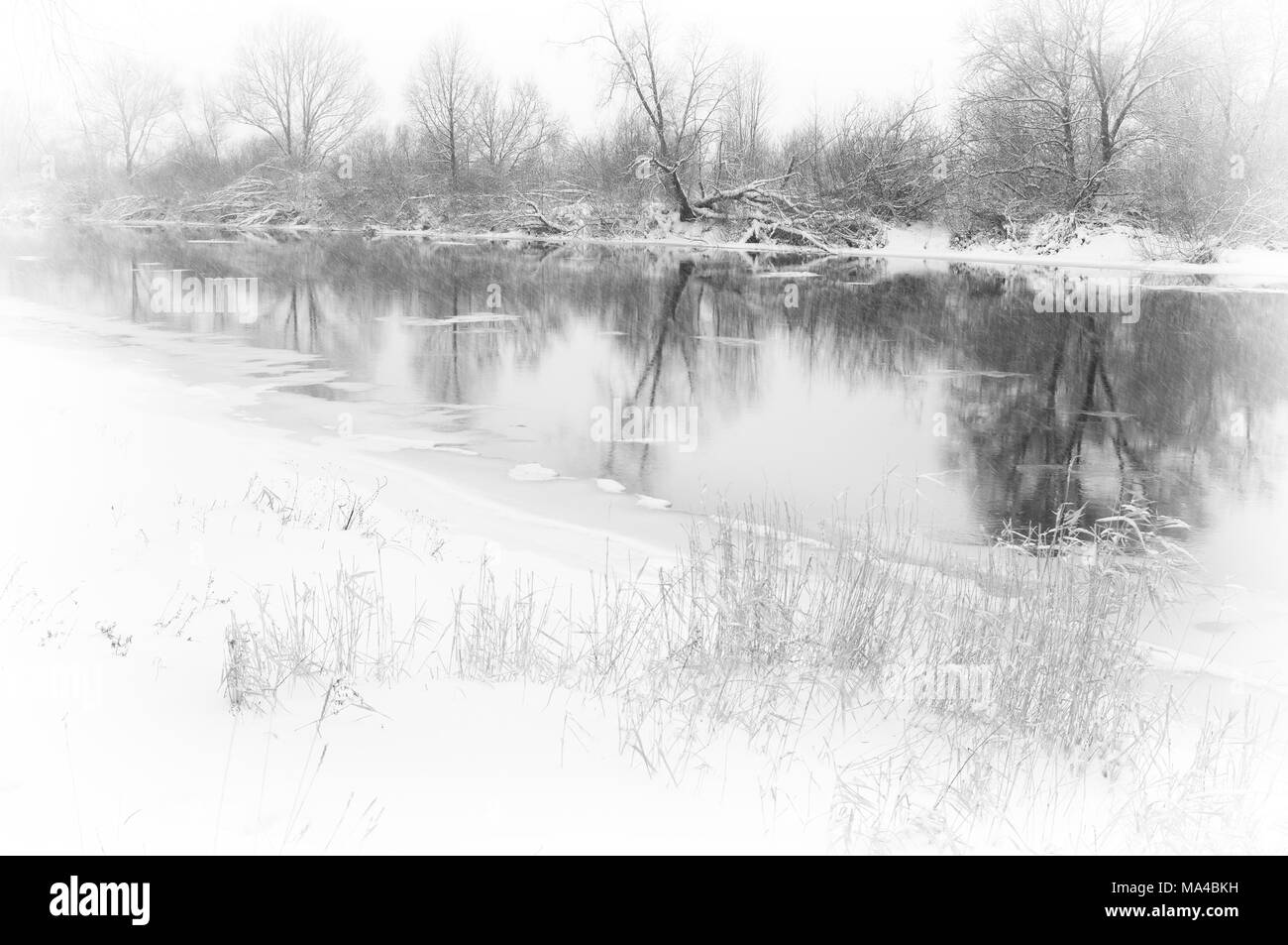 the river in winter during a snowfall Stock Photo - Alamy