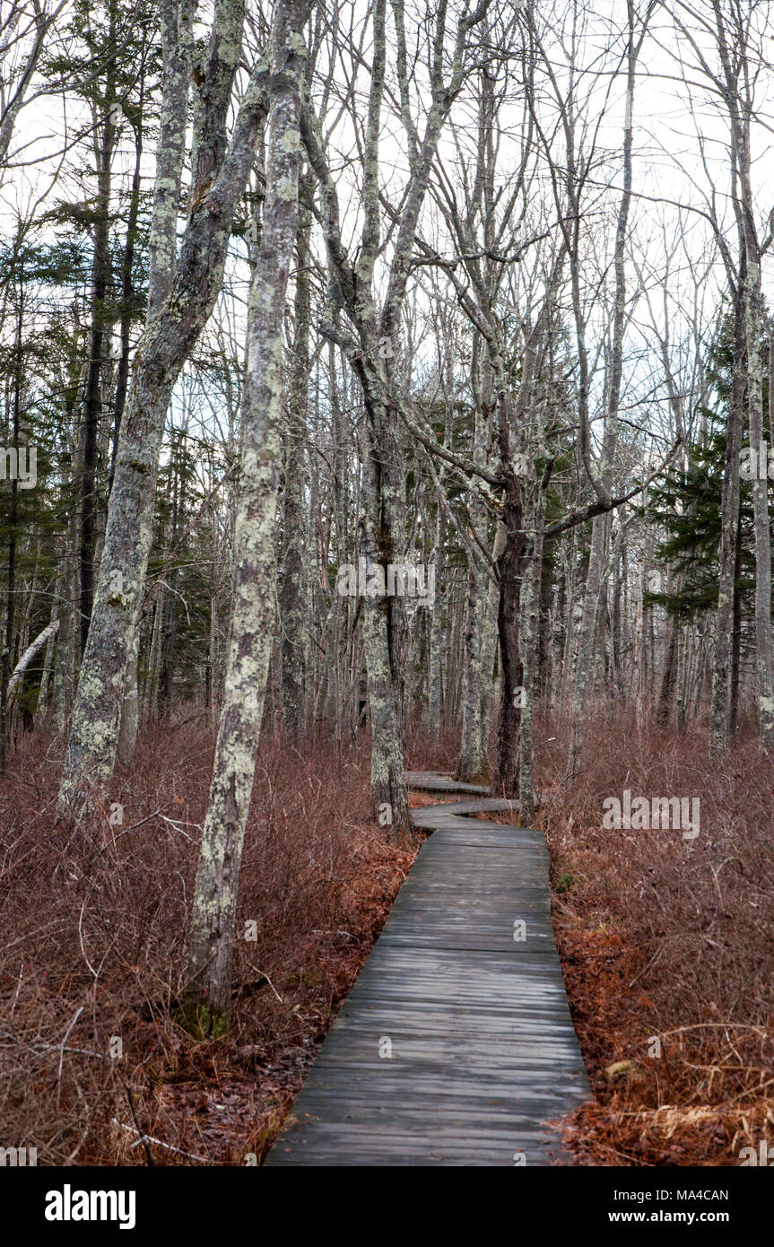 Educational pathway hi-res stock photography and images - Alamy