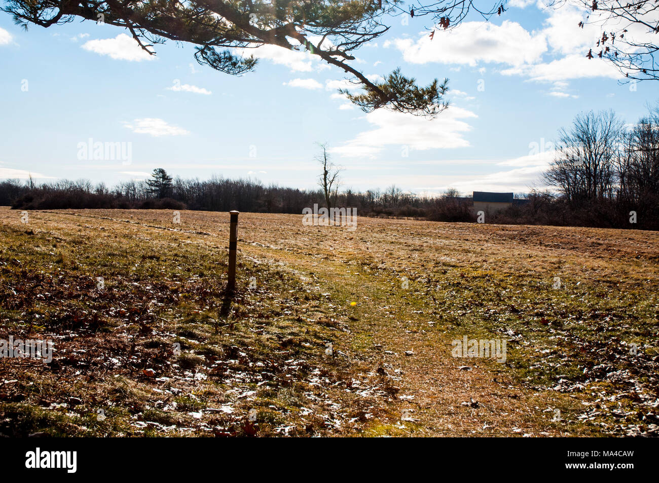 Crops frozen hi-res stock photography and images - Alamy