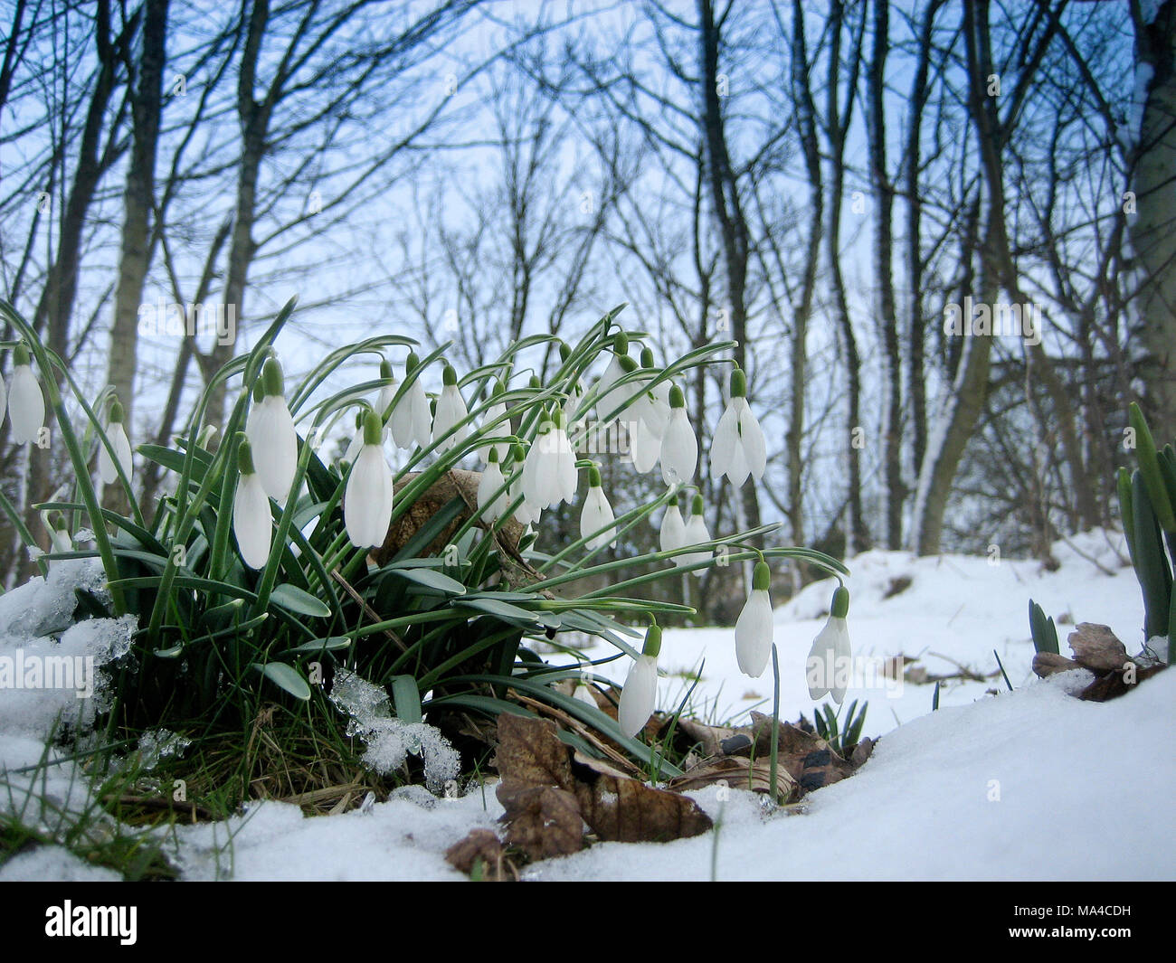 Angus scotland snow hi-res stock photography and images - Alamy