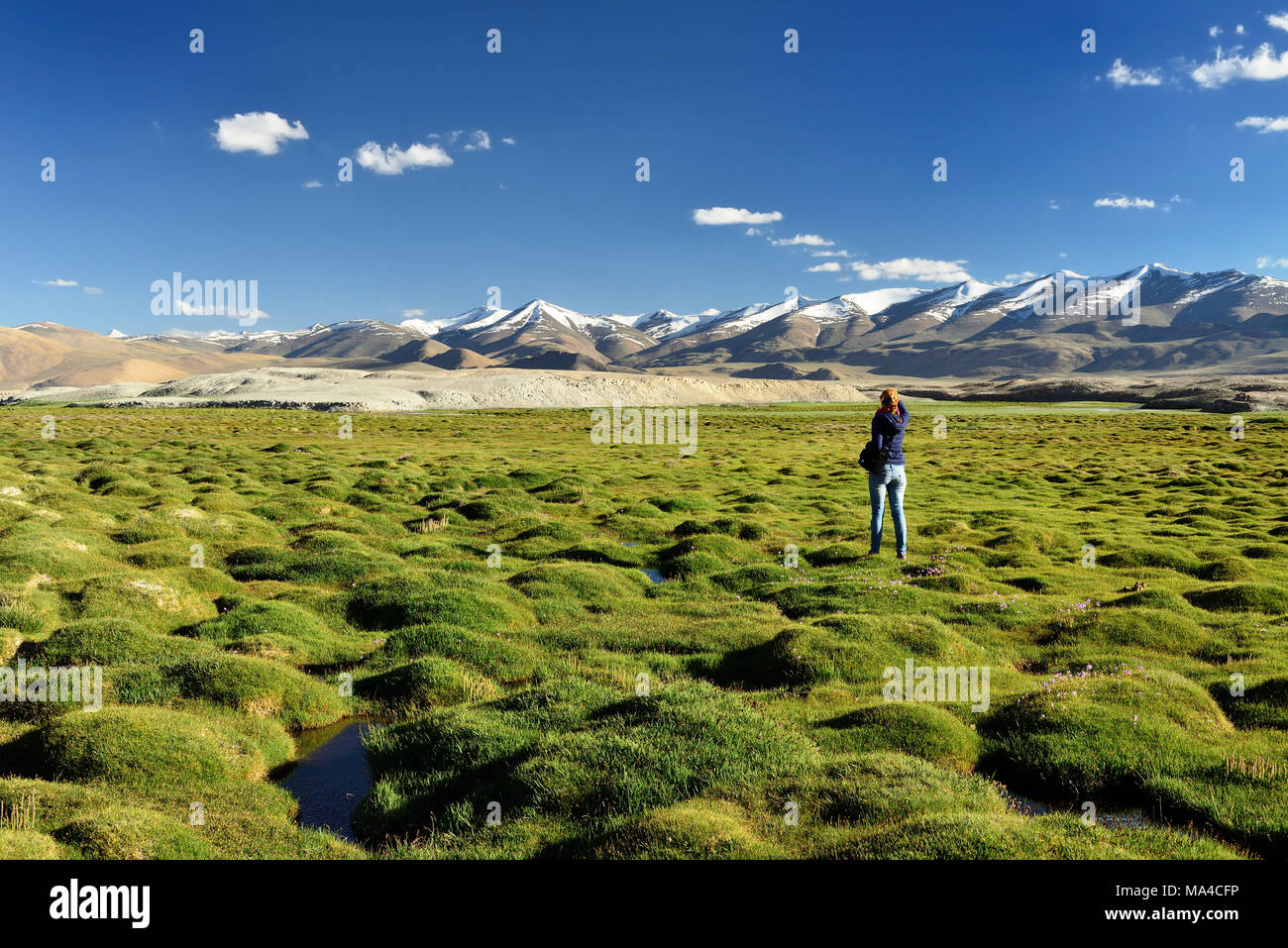 Traveller on the Tso Kar Lake in the Indian Himalaya - Karakorum ...