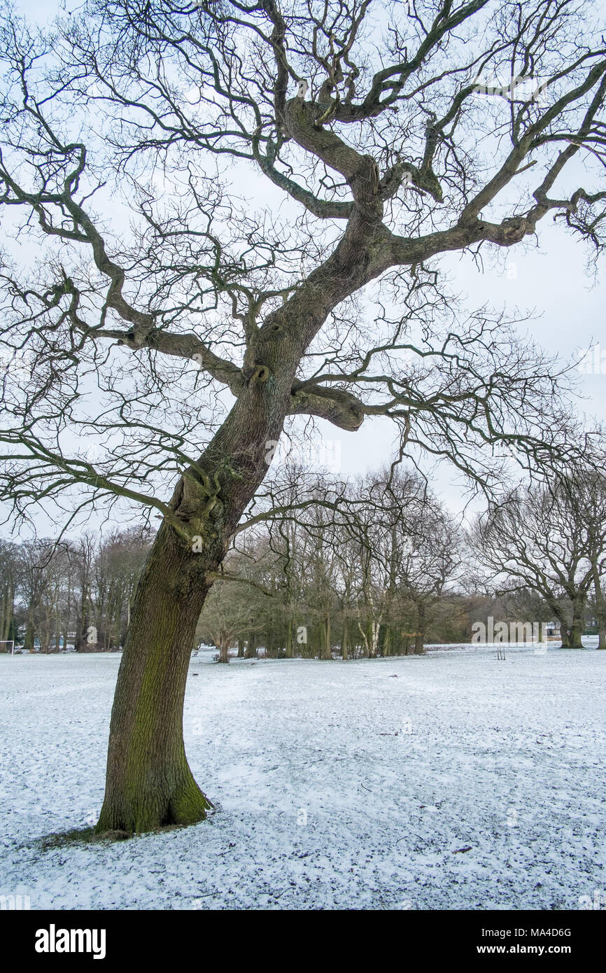 Worden Park, Leyland Stock Photo - Alamy