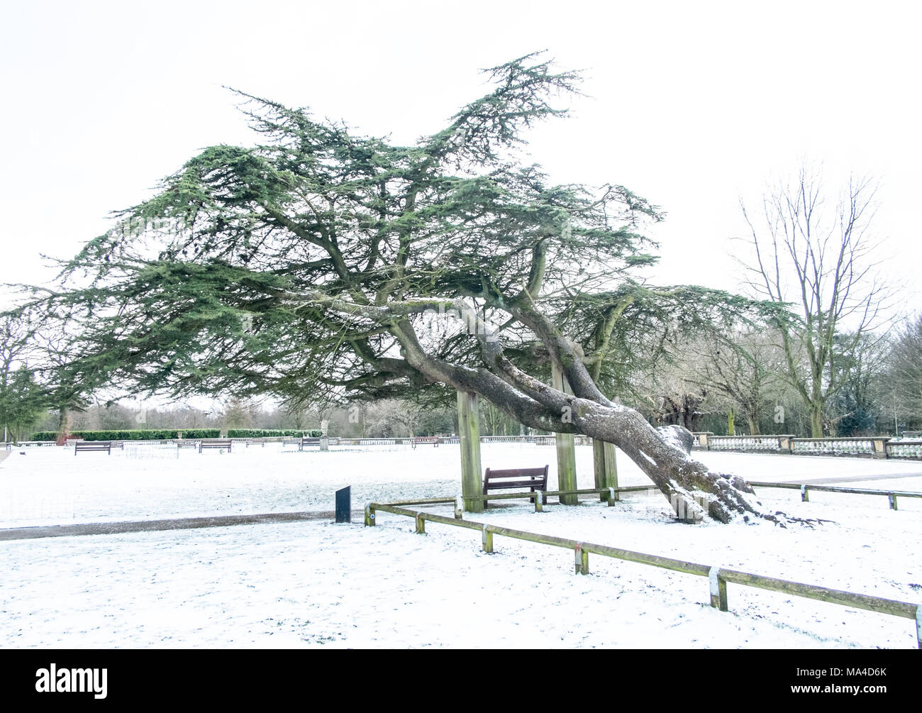 Worden Park, Leyland Stock Photo - Alamy
